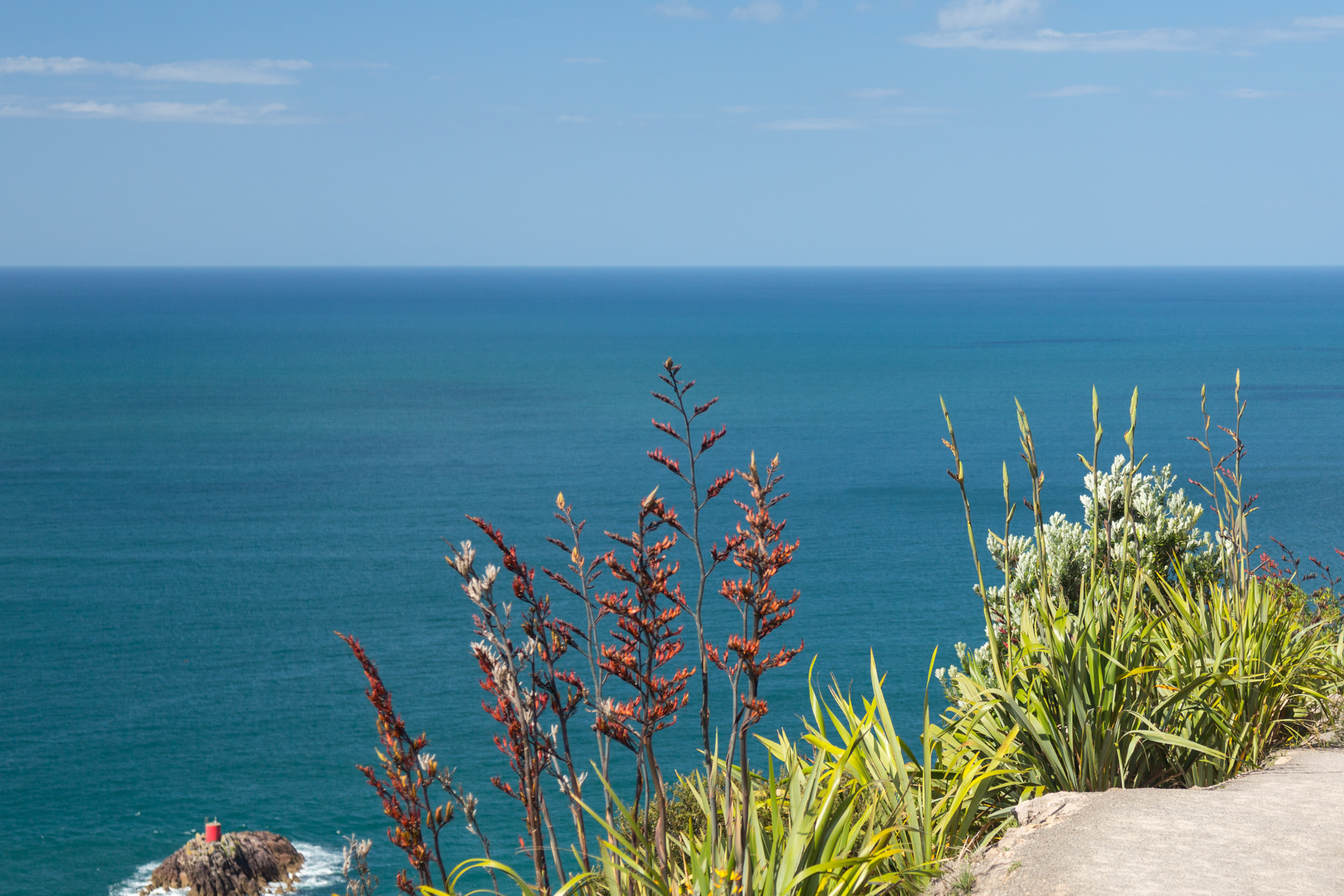 Remote Island Pest Control | Eco-Friendly Solutions | Viking Pest NZ