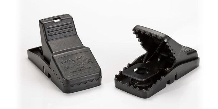 T-Rex Mini Mouse Trap | Powerful & Secure | Viking Pest NZ
