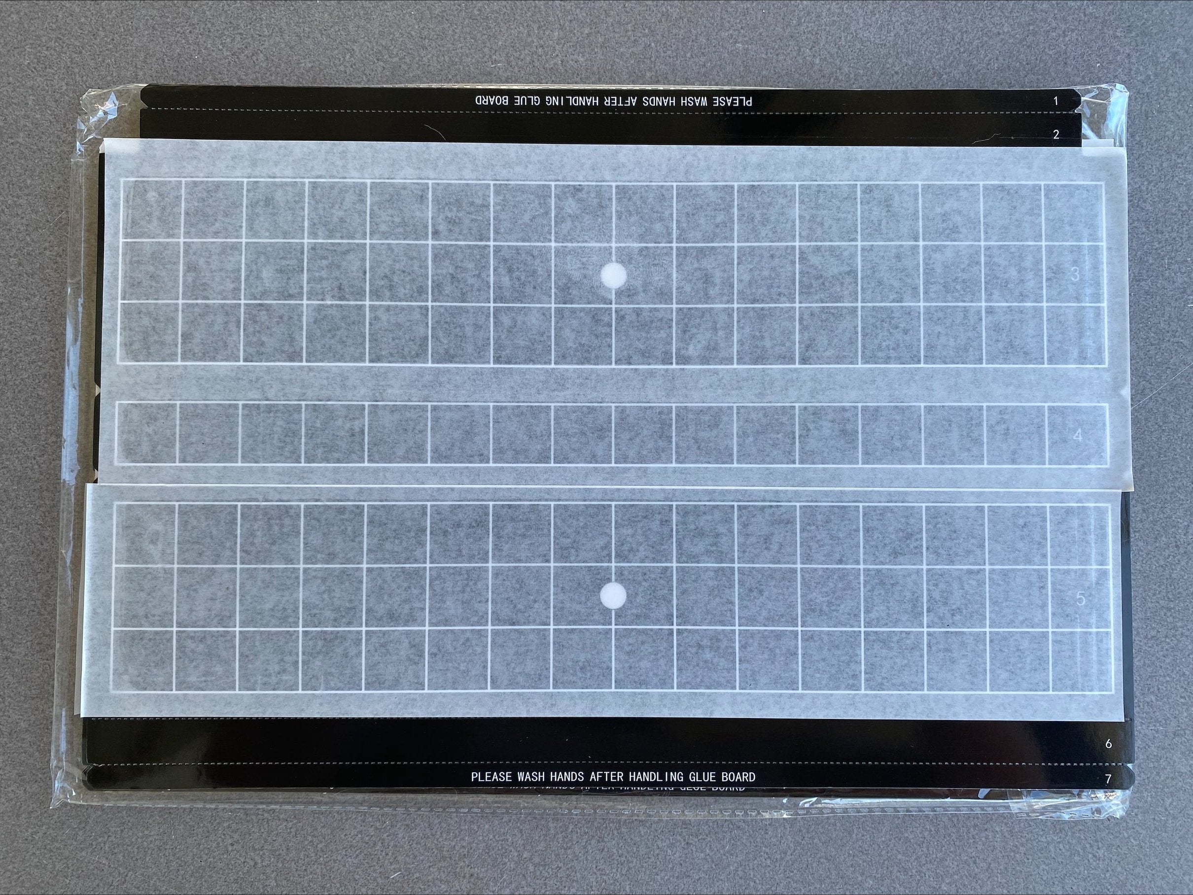 Fly Light Glue Boards (10-Pack) | Raptor Fly Traps | Viking Pest NZ